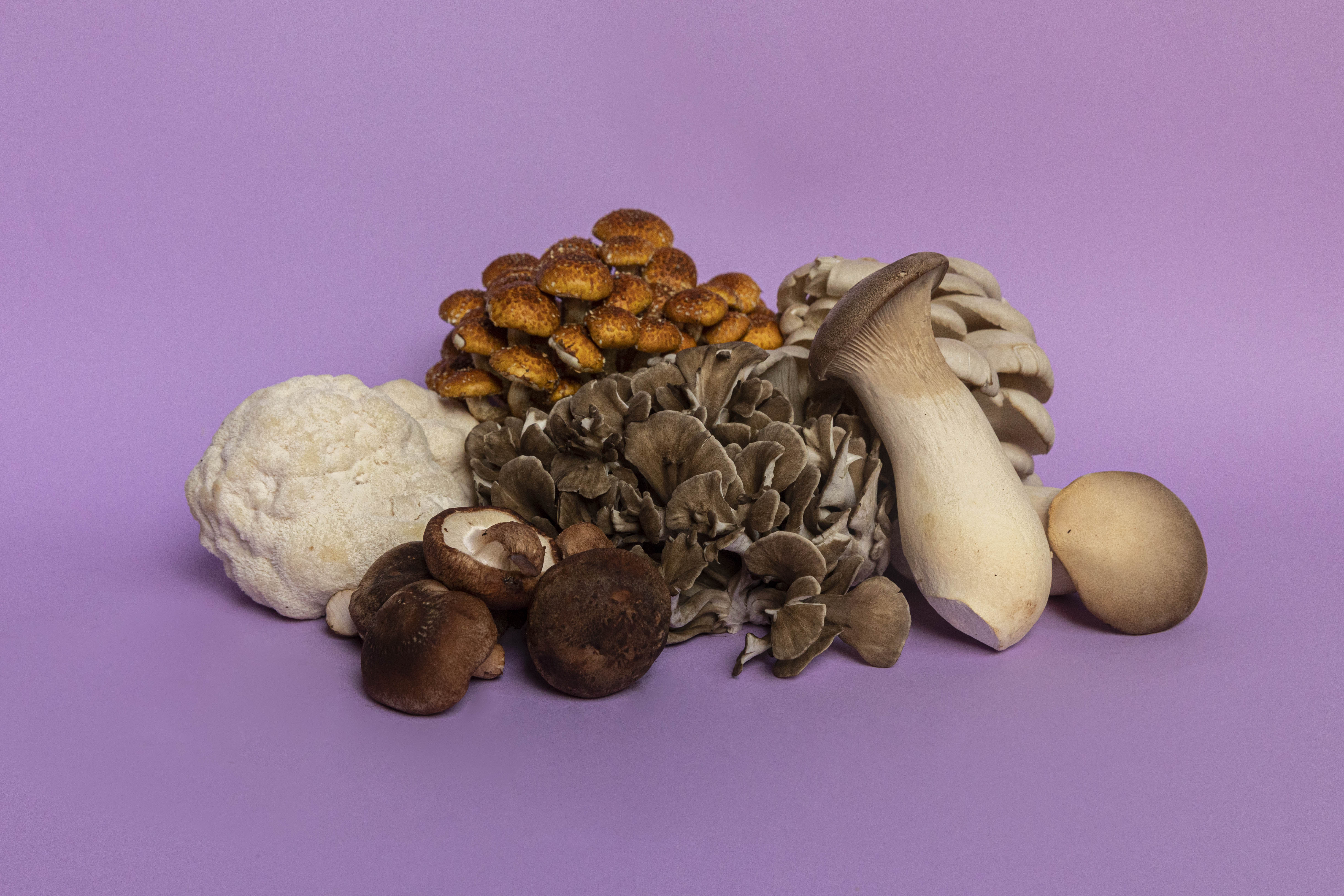 Fresh & Delicious – Below Farm